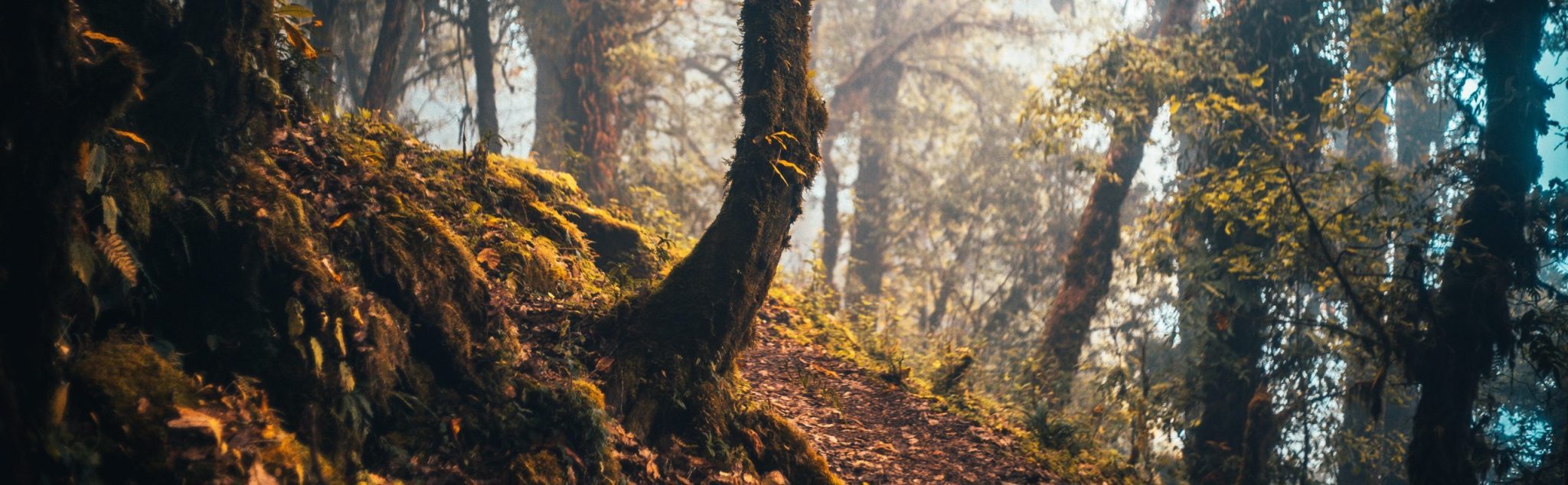 Timon Cline, Author at American Reformer