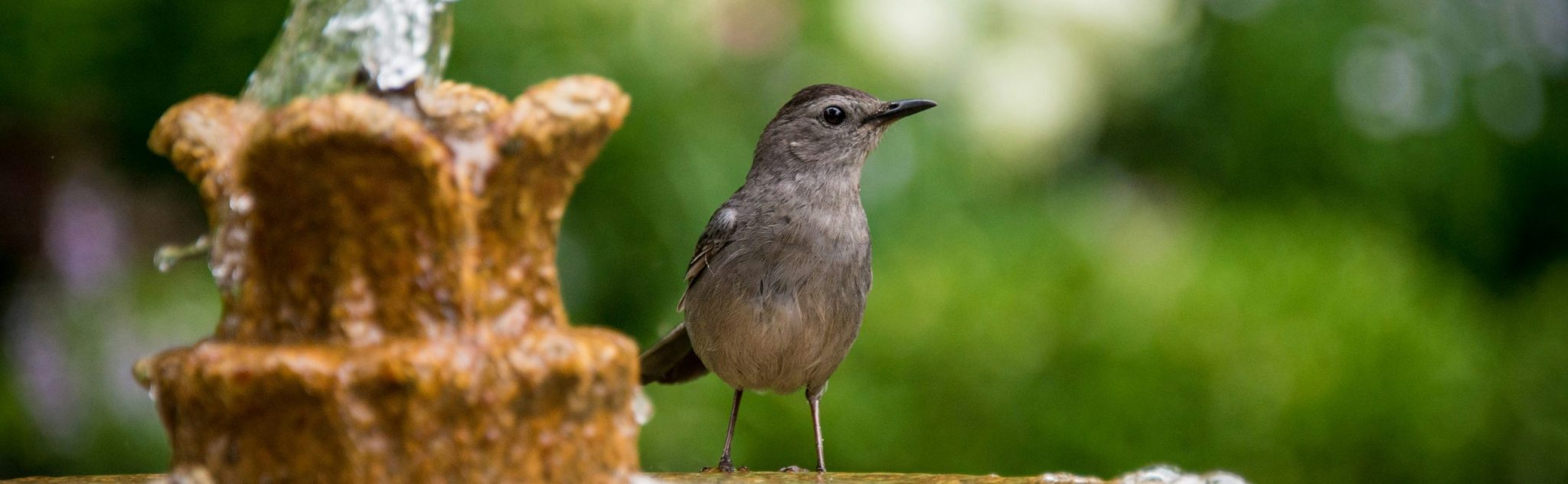 Glenn A. Moots, Author at American Reformer