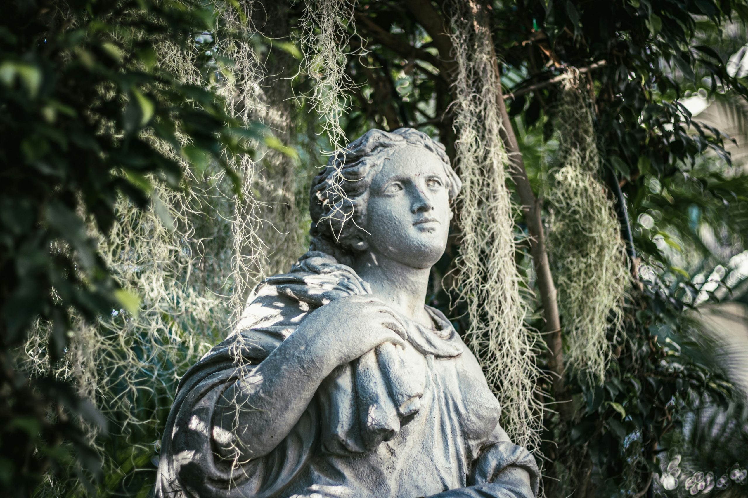 Orual’s Free Speech - American Reformer