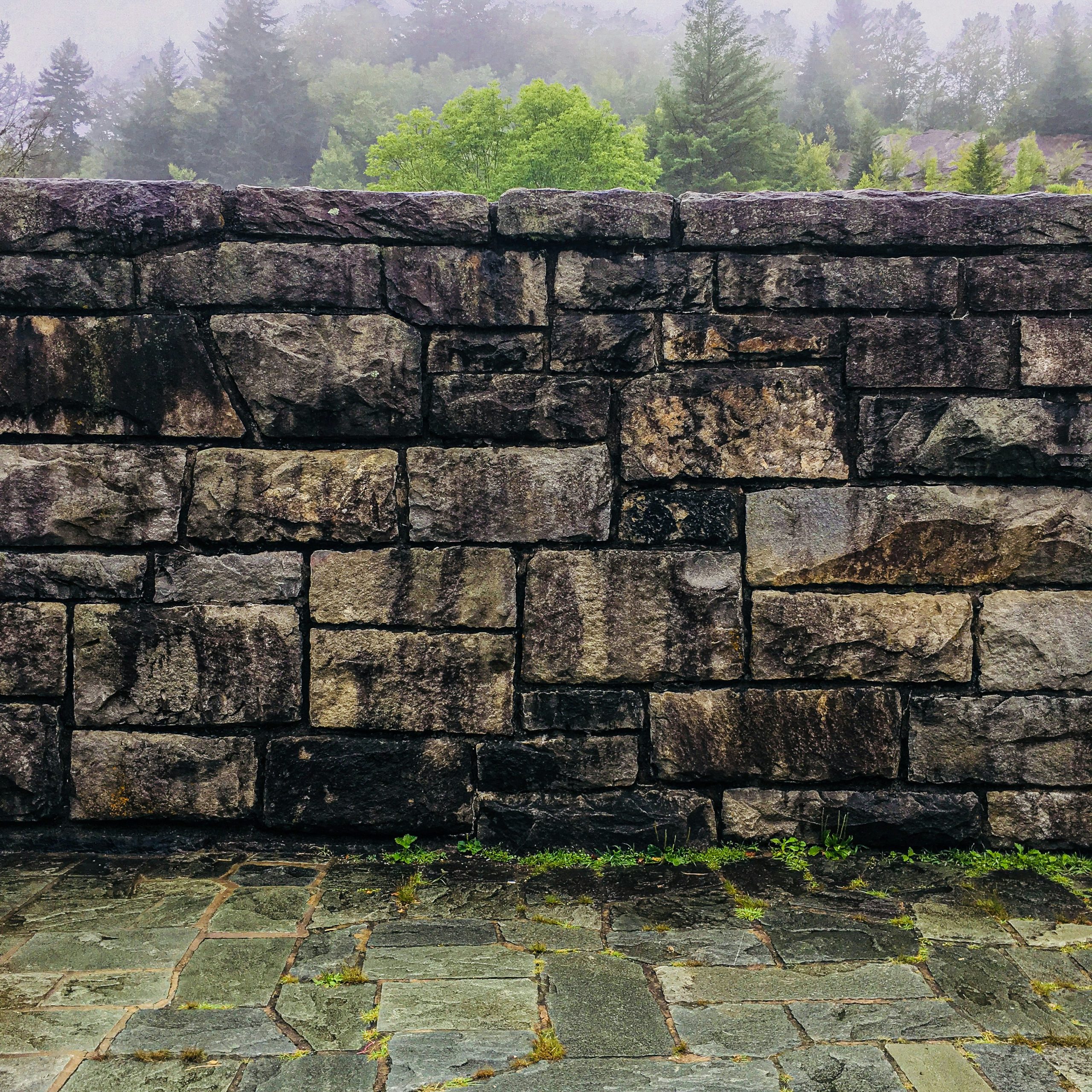 Institutional Bravery - American Reformer